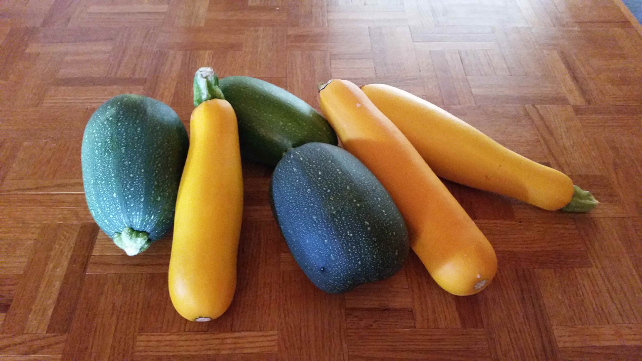Zucchini – What Mom's Cooking